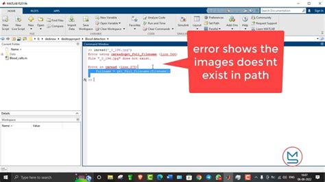 how to set path in matlab