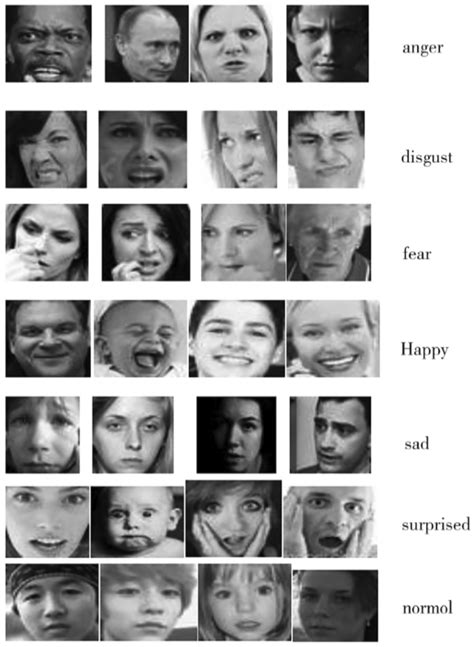 facial expression classification samples from affectnet download scientific diagram