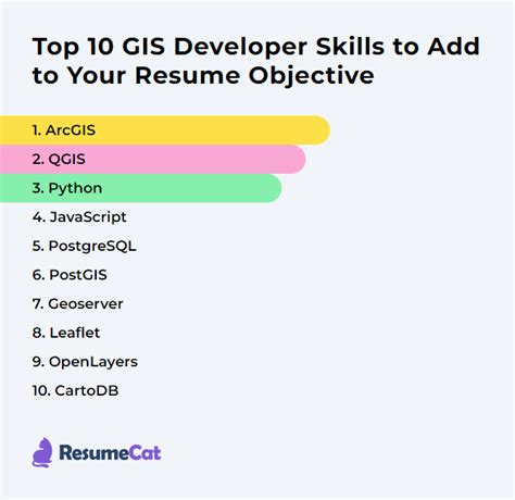 Top Gis Developer Resume Objective Examples Resumecat