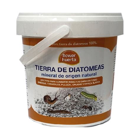 Argonza LA TIERRA DE DIATOMEAS ES UN Facebook