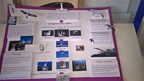 Pr Sentation Des Affiches Au Concours Svt Me Coll Ge La Clef Saint