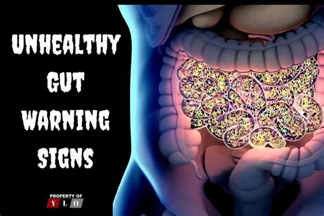 Unhealthy Gut Warning Signs Your Lifestyle Options