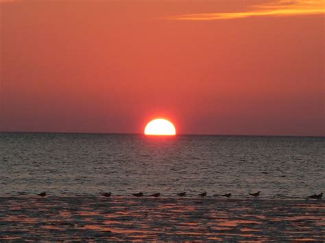 Top 9 Beaches In Brooksville Florida