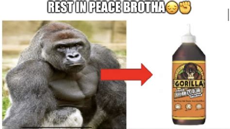 Se Acuerdan De Ese Gel De Pelo Que Era Como De Gorila Meme Subido Por