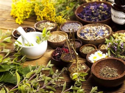 Qué propiedades digestivas tienen las plantas medicinales