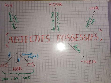 Carte Mentale ANGLAIS ADJECTIFS POSSESSIFS 2024