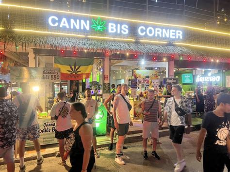 Cannabis Corner Koh Phangan Cannabis Dispensaries Thailand