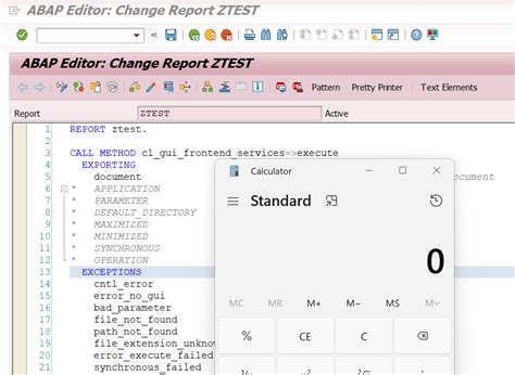 SAP ABAP Run Exe Program