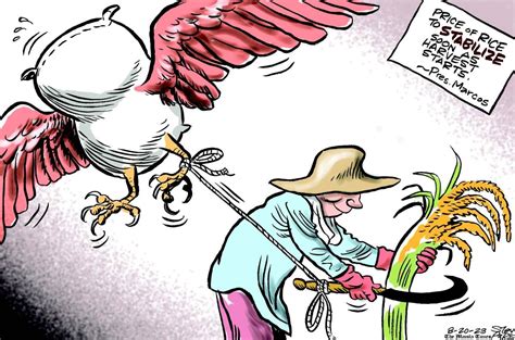 PRICE OF RICE The Manila Times