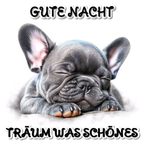 Pin Von Conny Auf Quick Saves In 2024 Gute Nacht Liebe Gute Nacht