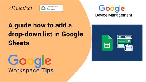 Dropdown List In Google Sheets Complete Guide Xfanatical