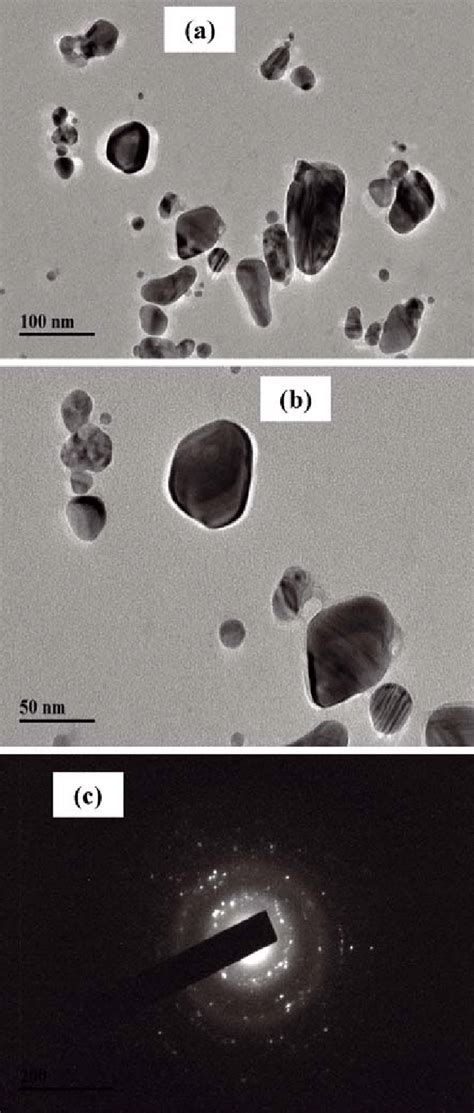 TEM Micrographs For AgNPs Using 0 001 M AgNO 3 Solution At A 100 Nm