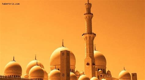 Temlik ne demek Temlik etmek nedir Temlik anlamı ve manası nedir