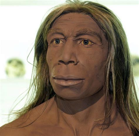 Neandertaler Fortpflanzung Mit Menschen War Erfolglos WELT