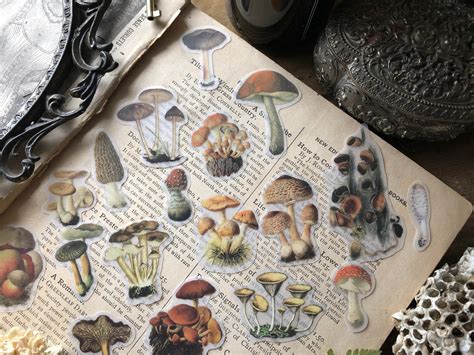 30 Pc Vintage Style Mushroom Vellum Sticker Pack Vellum Etsy