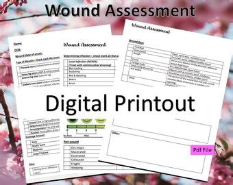 Wound Assessment Chart Wound Management Chart For Nurses Wound Chart