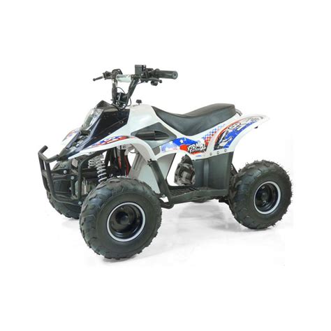 quad electrique homologue Les quads homologués route