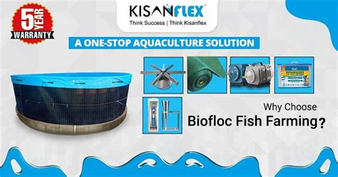 Why Choose Biofloc Fish Farming