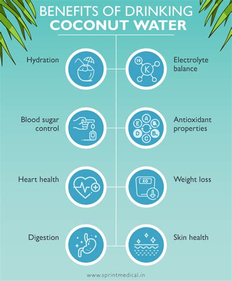 8 Coconut Water Benefits Why You Should Drink It Daily Infographic