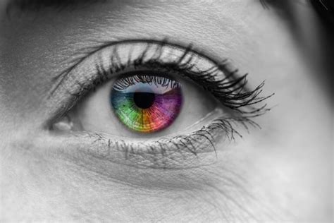 Sabes Por Que Los Humanos Vemos COLORES