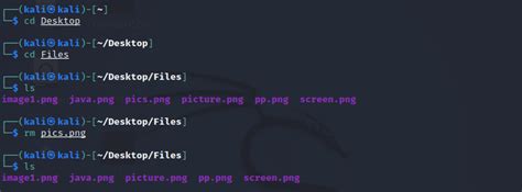 Kali Linux Basic Commands Javatpoint