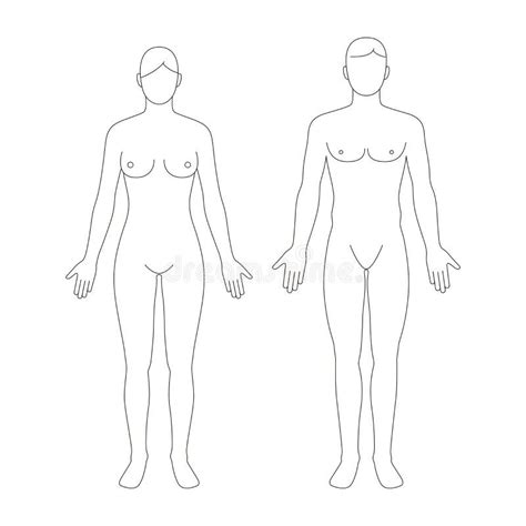 Human Naked Body Infographic Male And Female Stock Vector