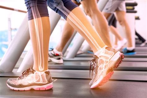Los 8 Mejores Ejercicios de Movilidad Articular Guía