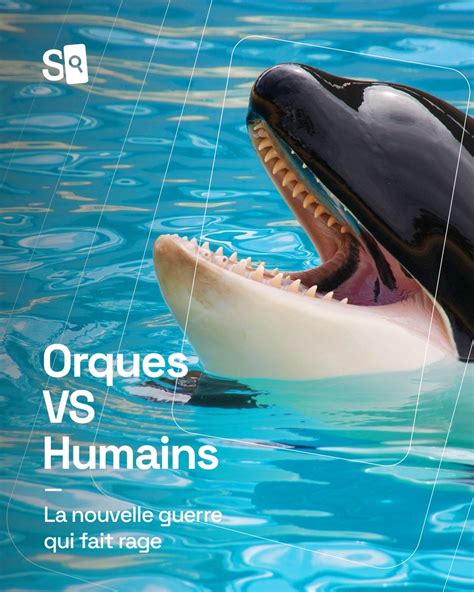 Spotters On Twitter Tendance Vous Tes Plut T Team Humain Ou
