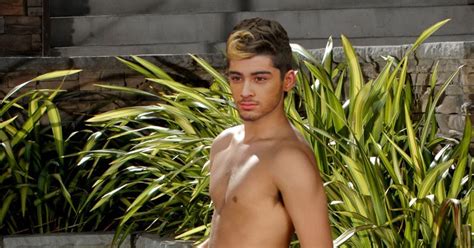 Malecelebritiesnaked Zayn Malik Naked And Outdoors II