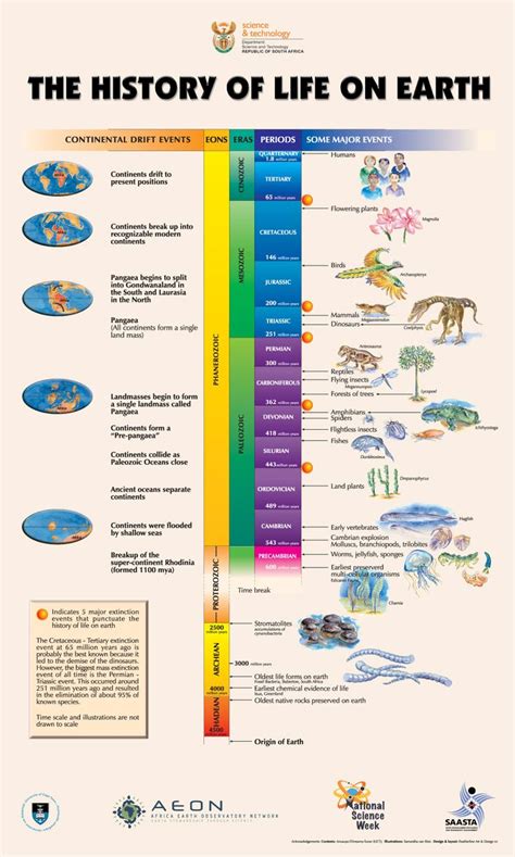 The History Of Life On Earth With Information About All Its Different