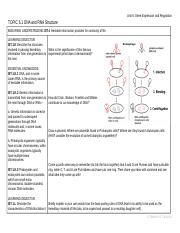 Ap Biology Unit Gene Expression And Regulation Docx Unit Gene