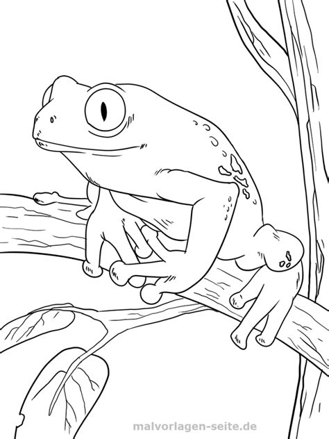Ausmalbilder Frosch 24 Ausmalbilder Tiere Images And Photos Finder