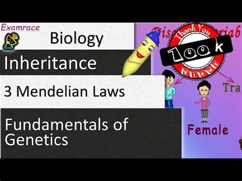 Mendelian Laws Of Inheritance Fundamentals Of Genetics Youtube