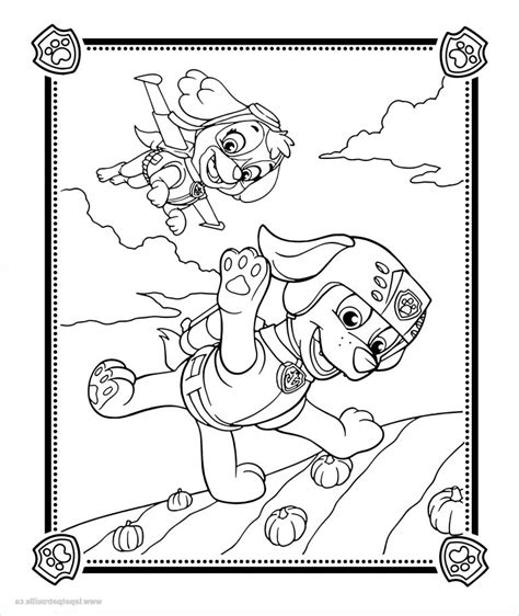 Zuma Pat Patrouille Dessin Beau Photos Coloriage De Coloriage De Zuma