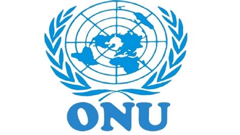 Organização das Nações Unidas ONU Covid 19 Terra de Direitos