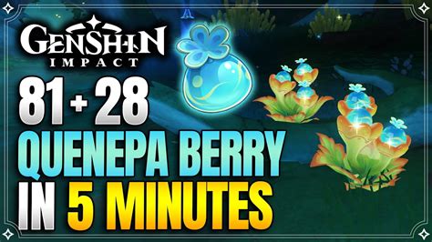 Quenepa Berry Locations Fast And Efficient Route Kachina Ascension