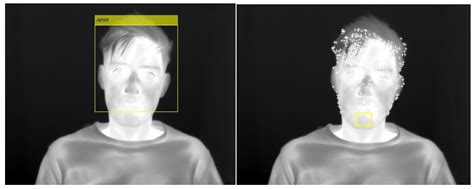 mti free full text identifying the optimal features in multimodal deception detection