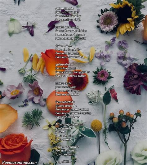 Cinco Mejores Poemas De Seducci N Y Deseo Poemas Online
