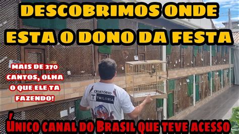 TRINCA FERRO DONO DA FESTA O MISTÉRIO QUE O BRASIL QUERIA SABER FOI