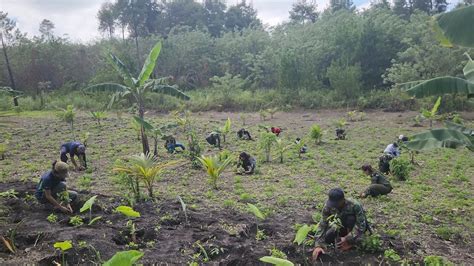Komunitas Pecinta Alam Tanam 1000 Pohon Untuk Pulihkan Kawasan Kaki