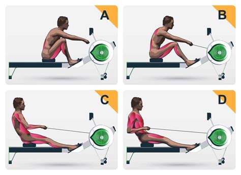 How Does Rowing Work Your Abs Start Rowing