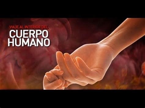 VIAJE AL INTERIOR DEL CUERPO HUMANO DOCUMENTAL NATGEO YouTube