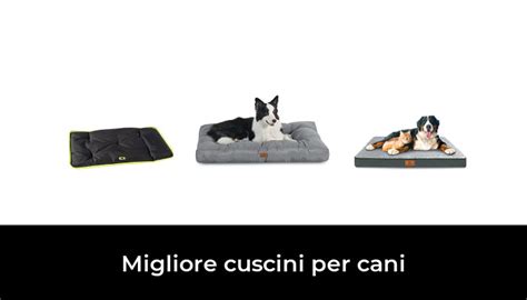 46 Migliore Cuscini Per Cani Nel 2024 Secondo Gli Esperti