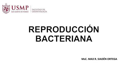 Reproducción Bacteriana dentist notes uDocz