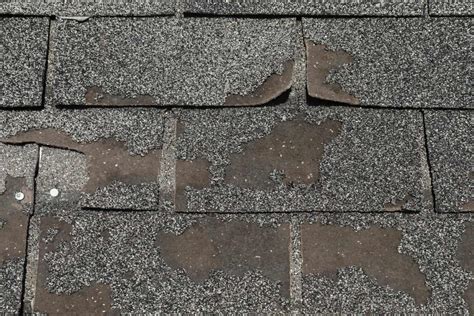 How Long Does A Roof Inspection Take Homeowners Guide