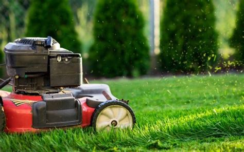 Lawn Mower Is Surging Causes How To Fix