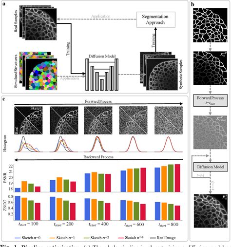 Figure 1 From Denoising Diffusion Probabilistic Models For Generation