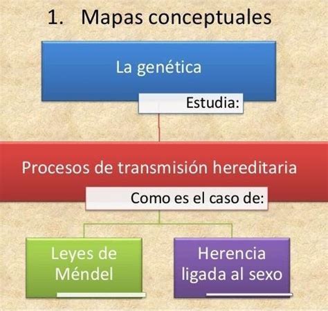 Mapa Conceptual De La Genetica Mendeliana Brainly Lat