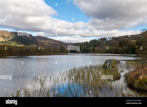 Galloway Forest Park High Resolution Stock Photography And Images Alamy