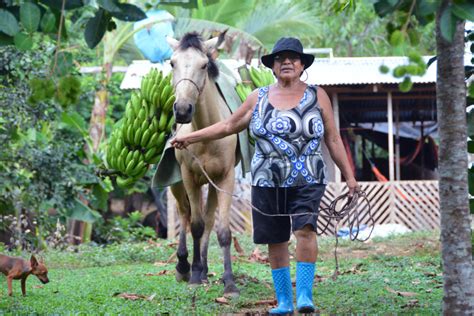 Adaptation Fund In Costa Rica Adaptation Fund